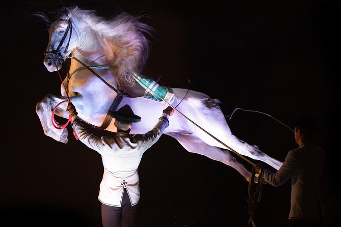 Horse and Flamenco Show in Malaga - Authenticity and Cultural Significance