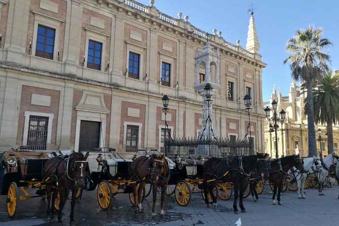 Horse-Drawn Carriage Ride through Seville - Practical Considerations
