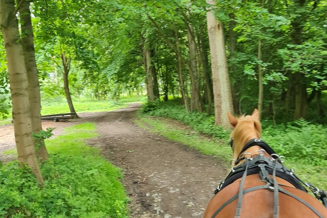 Horse drawn carriage ride york - Pricing and Value Analysis