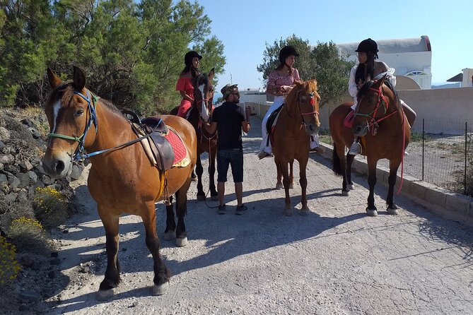 Horse Riding--Explore secret Thera - The Scenic Views and Photo Opportunities