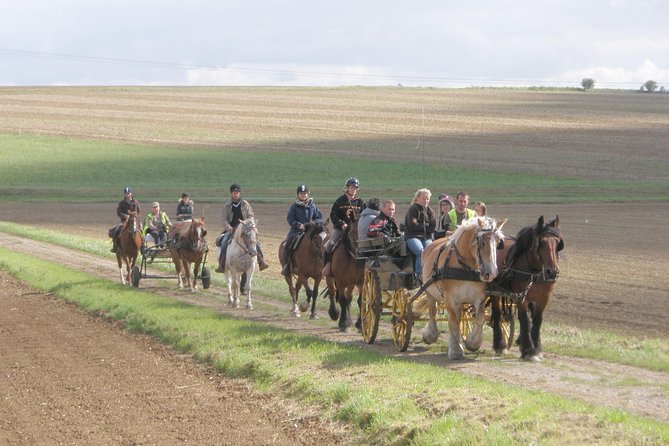 Horse riding in the French countryside - Authentic Experiences from Travelers