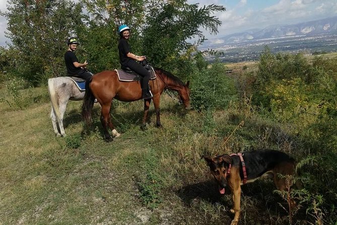 Horse Riding on Mount Vesuvius - Final Thoughts
