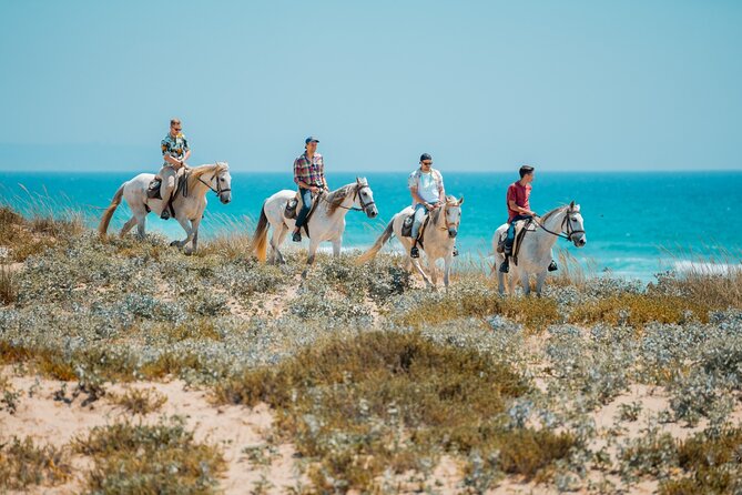 Horseback Riding, 4 Options-Mountain, Lesson Ring, Beach (2Hours) - FAQs