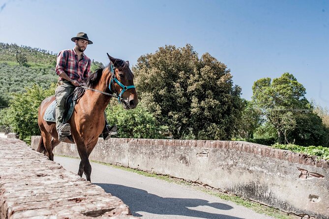 Horseback riding and aperitif 2 hours for beginners - Authentic Experiences and Authentic Reviews