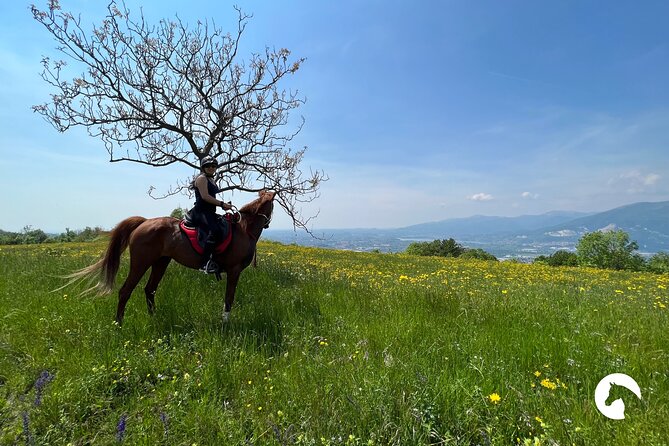Horseback riding for experts between the lake and the mountains - Authenticity and Authentic Experiences