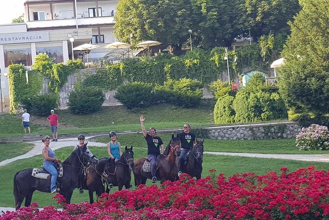 Horseback Riding In Bled - Authentic Feedback from Participants