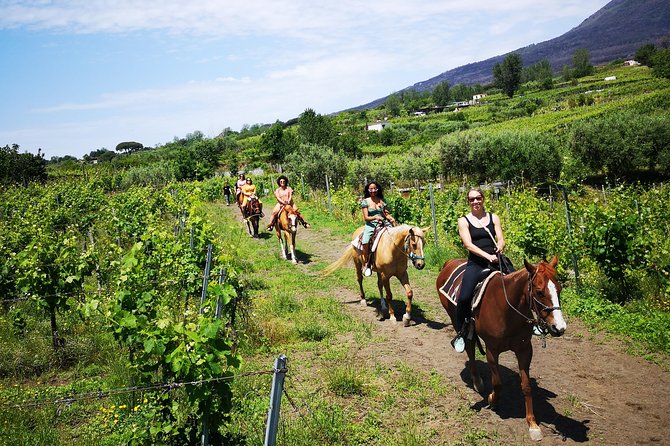 Horseback Riding on Vesuvius - Authentic Reviews: What Travelers Say