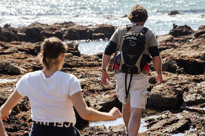 Howth Safari Hiking Tour - The Sum Up