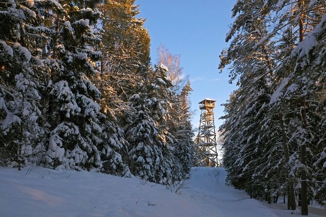 Husky Dog Sledding Tour From Riga - Authenticity and Reviews from Travelers
