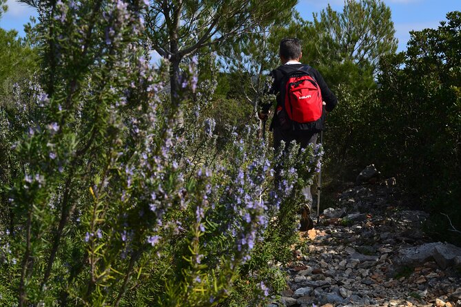 Hvar Lavender Tour - The Sum Up