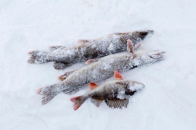 Ice Fishing by Snowmobile from Rovaniemi - FAQ