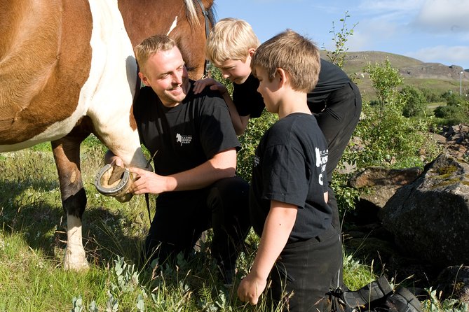 Icelandic Horseback Riding Tour Including Pick Up from Reykjavik - Practical Tips for Participants