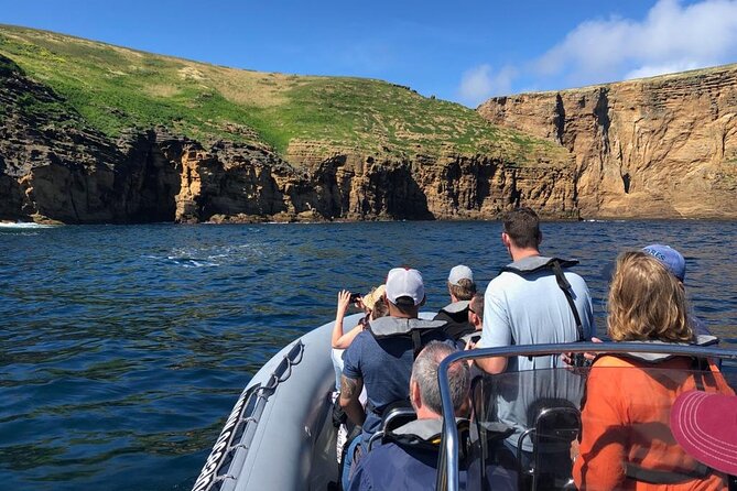 Ilhéus das Cabras in Terceira Island - The Cost and Its Value