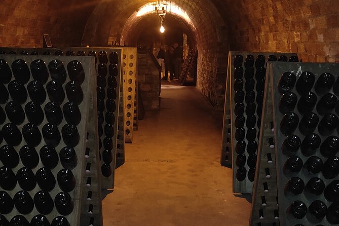 Independent wine tour, cellar and tasting in the vineyards - Transportation and Logistics