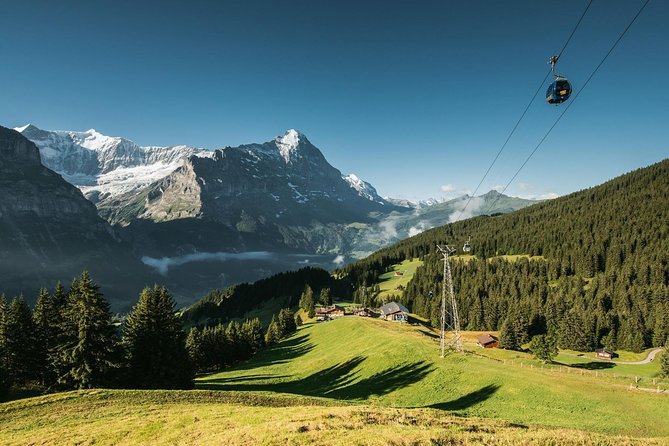 Interlaken and Grindelwald Day Trip from Lucerne - FAQs About This Tour