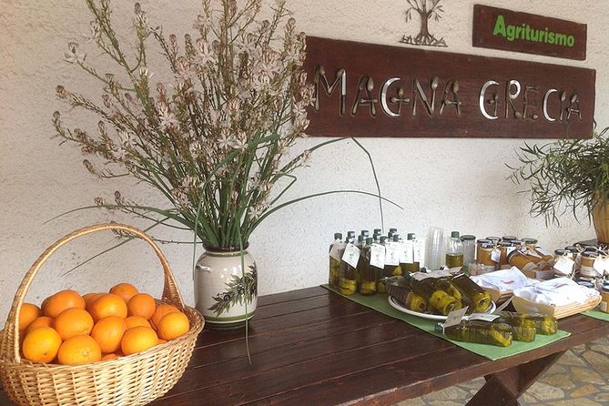 Katakolon 7hour tour : Olympia-Honey Farm-Winery-Beach - Authentic Experience and Unique Highlights