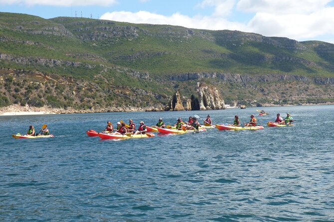 Kayak and Snorkeling Adventure in Arrabida - The Impact of the Guides and Reviews