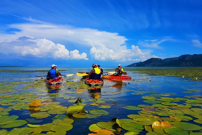 Kayak Guided Tour Skadar lake - Adventure in National park - Logistics, Price, and Value