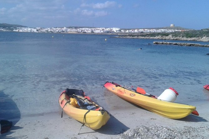 Kayak Tour in the Marine Reserve ! - Final Thoughts: Is it worth it?