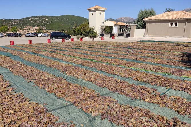 Kefalonia: Private Olive Oil, Honey & Wine Tasting Experience - How the Pieces Fit Together