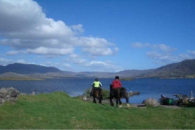 Killarney National Park Horseback Ride. Co Kerry. Guided. 1 hour. - Practical Details and Tips