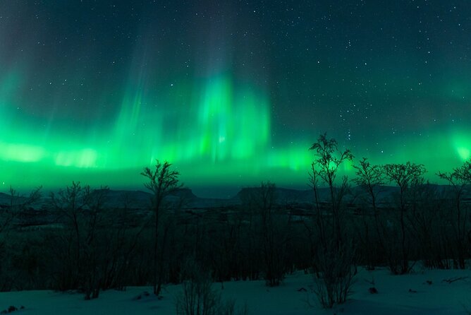 Kiruna Northern Lights Tour with Photographer - The Value of this Tour