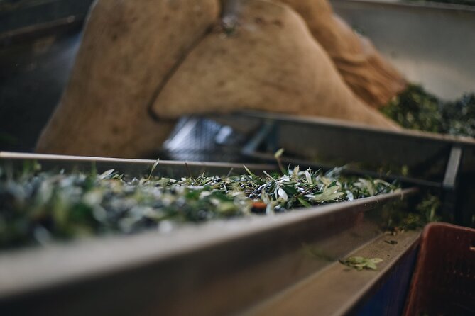 Kleanthi Olive Farm: Guided Tour with Local Delicacies Tasting - FAQ
