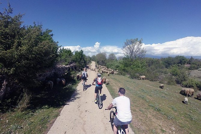 Krka Nationa park by electric bike - The Sum Up