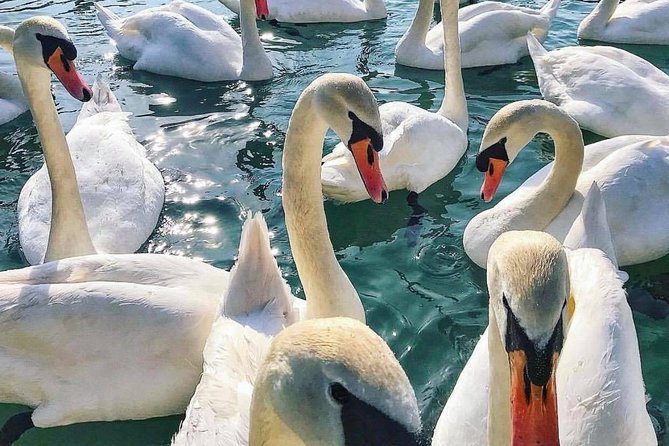 Lake Bled Tour from Ljubljana - What Do Travelers Say?