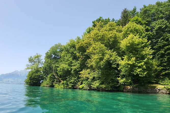 Lake Lucerne boat tour for a full day! - The Authentic, Relaxed Swiss Experience
