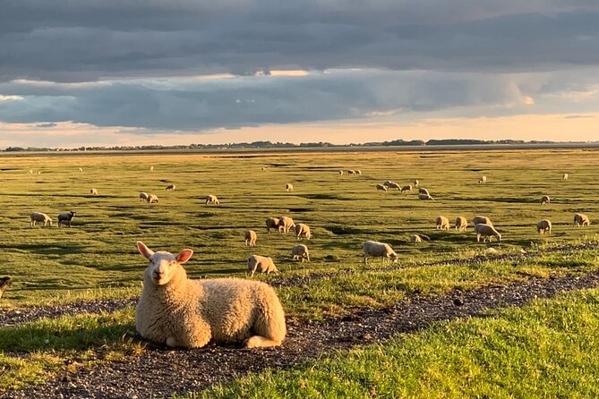 Lancashire Love Artisans Food Tour with Guide - How the Day Unfolds – A Close Look at the Itinerary