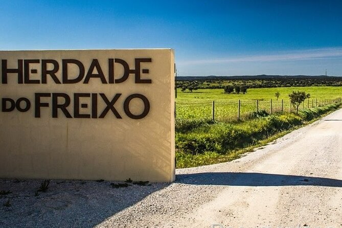 Landscapes of Alentejo - Évora Tour from Lisbon - FAQs About the Évora Tour