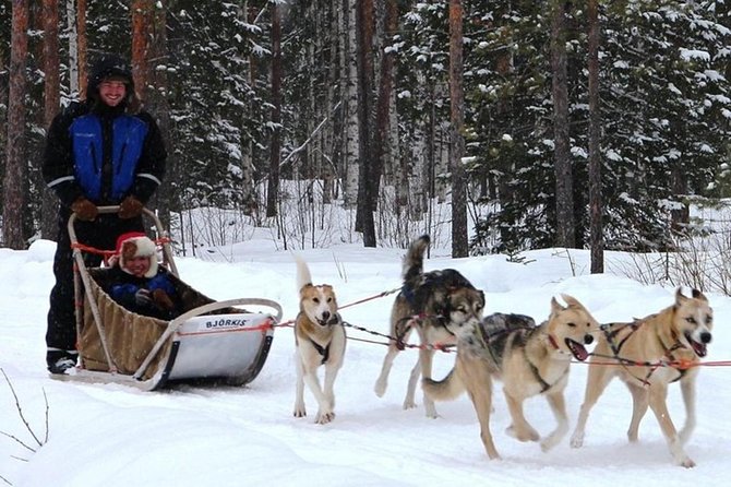 Lapland Reindeer and Husky Safari from Levi - What Makes This Tour Special?