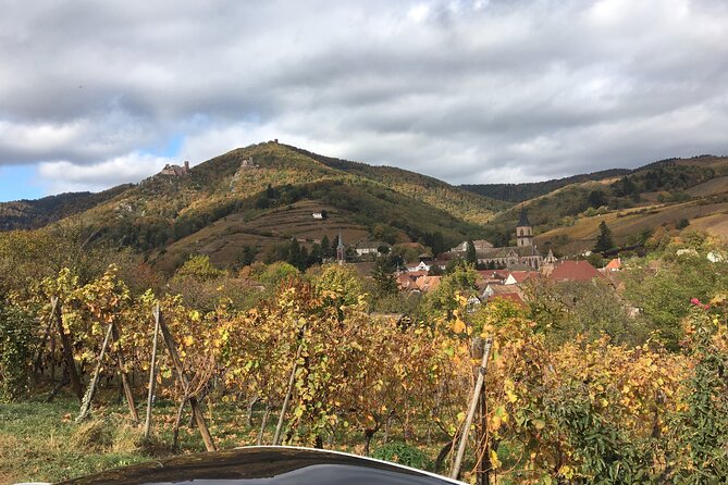 "Le petit Alsacien" Luxury Tour Local private friendly driver - Pricing and Value