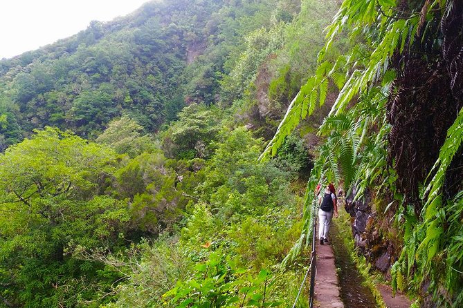 Levada do Caldeirão Verde Levada Walk from Funchal - The Practical Side: Pricing, Duration, and Group Size