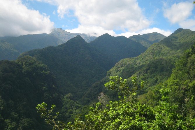 Levada do Rei - Ribeiro Bonito (Full Day Walk) - Final Thoughts: Why It Delivers