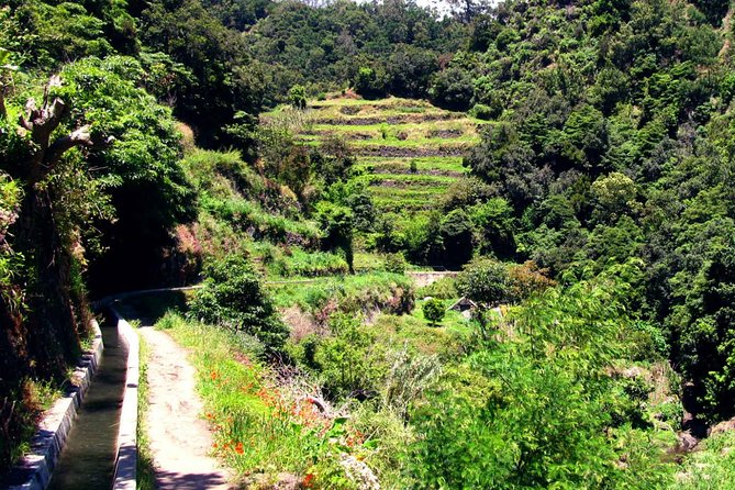 Levada dos Maroços - Final Thoughts