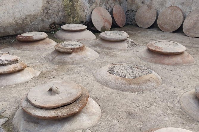 Lifestyle of The Ancient Rich: Domus & Villa in Pompeii, Oplontis and Boscoreale - Experience Details: Transportation, Group Size, and Price