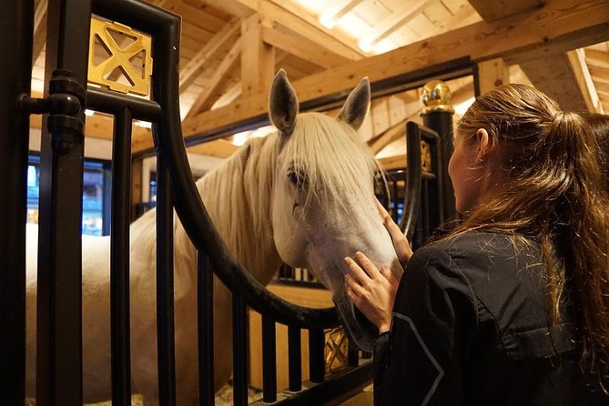 Lipica Stud Farm and Skocjan Caves from Piran or Portoroz or Izola - Why This Tour is a Great Choice