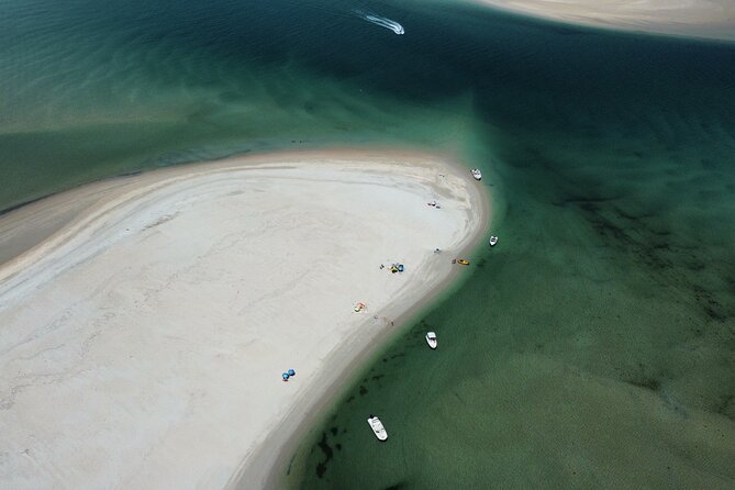 Lisbon: Boat Tour in Paradise - Authentic Experiences and Guest Feedback