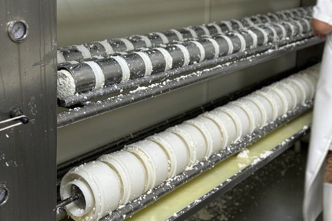 Lisbon Cheese Factory Visit, Wine Tasting and Tile Painting Tour - Who Will Love This Tour?