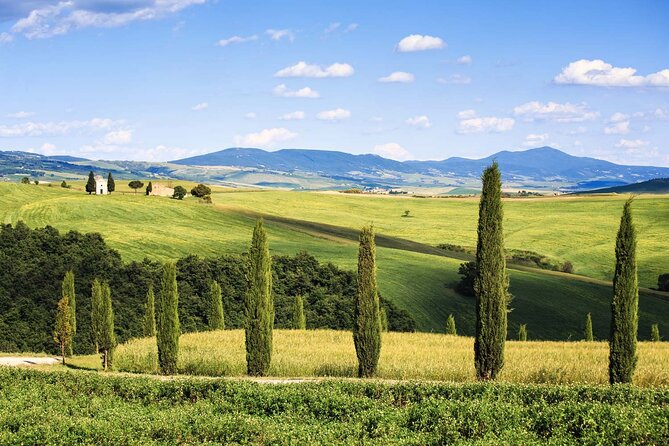 Livorno shore excursion: Bolgheri and Supertuscan private tour - Final Thoughts