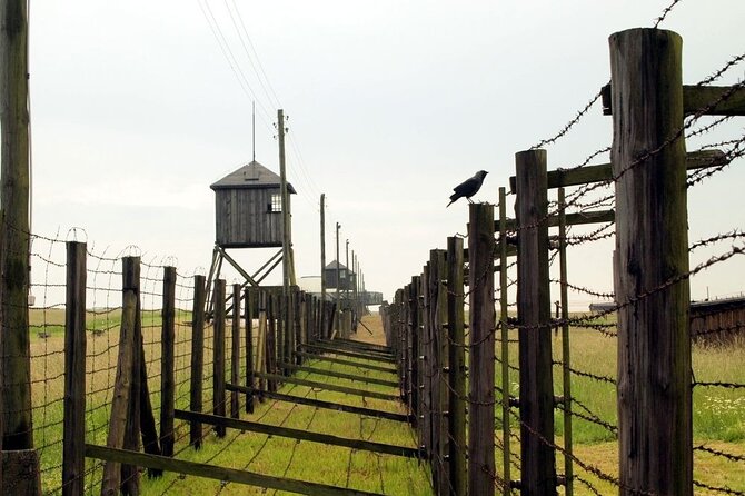 Lublin and Majdanek Small Group Tour from Warsaw with Lunch - Who would love this tour?