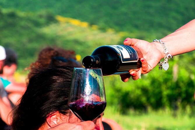Luch Time Tasting & Winery Tour - Who Should Consider This Tour?
