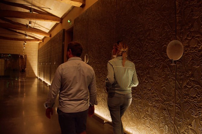 Luxurious full day Bordeaux wine tour in a Tesla - Practical Tips for Prospective Travelers