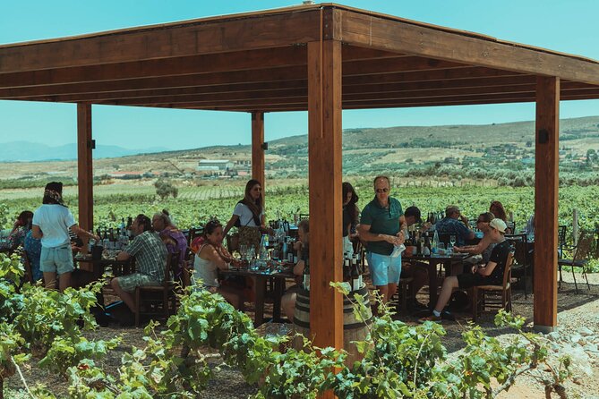 LUXURY PRIVATE Wine Tasting in CRETE (also for CRUISE SHIPS) - Pricing and Value: Is It Worth It?