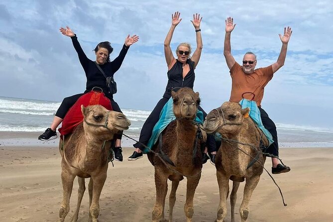 Luxury Tangier Private Day Tour from Marbella All inclusive - Price and Value