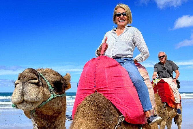 Luxury Tangier Private Day Tour from Seville All inclusive - Final Thoughts: Who is This Tour Best For?
