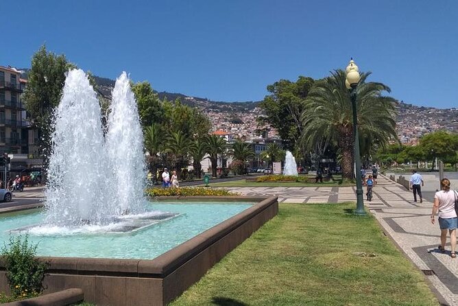 Madeira Airport Round Trip Private Transfers Services - A Closer Look at the Itinerary and Logistics