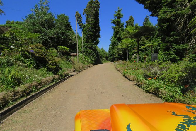 Madeira Highlights: Guided 4-Hour Tour from Funchal - FAQ
